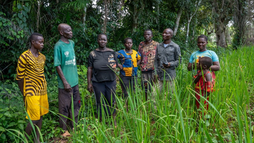 How sustainable forest management in Chinko, CAR, is empowering local ...
