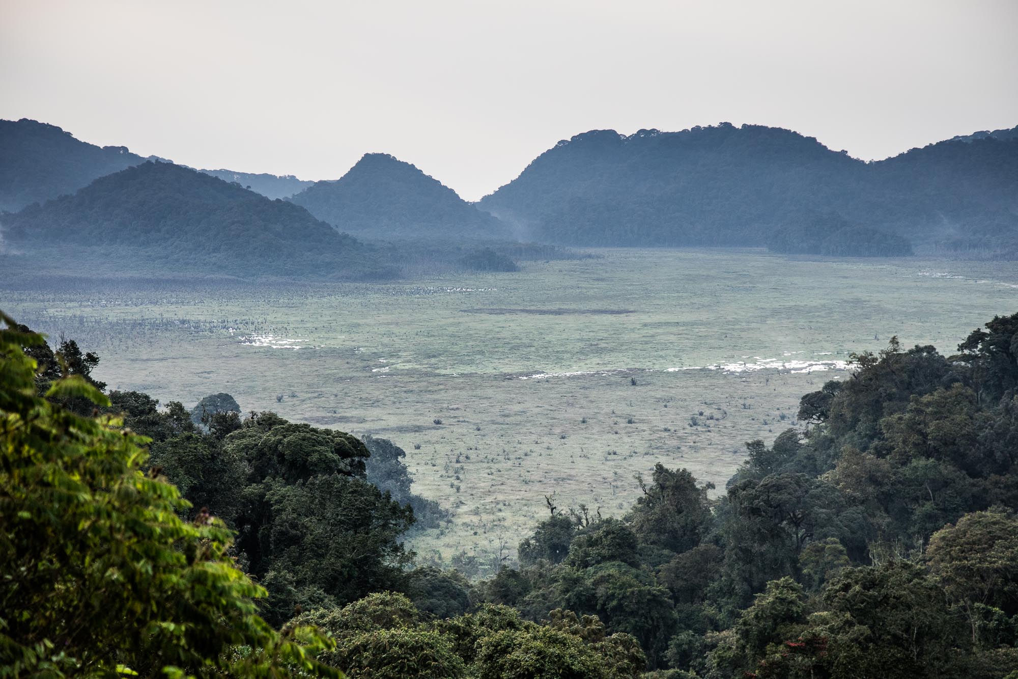 Rwanda, African Parks commit to long-term protection of Nyungwe ...