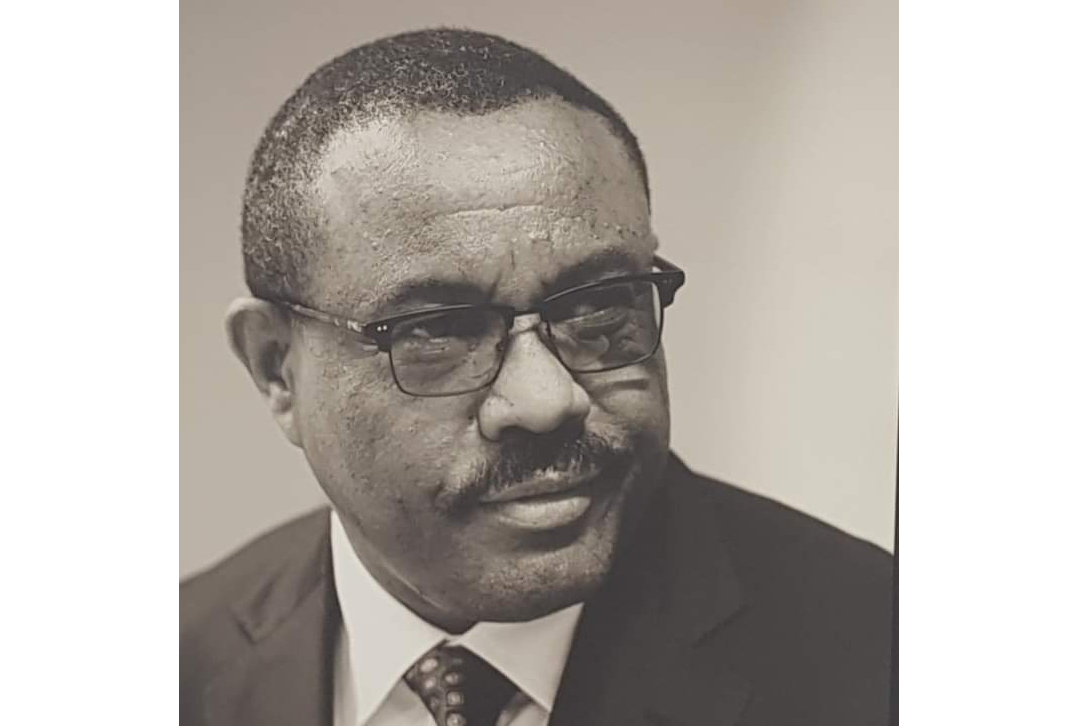H.E. Hailemariam Dessalegn | African Parks