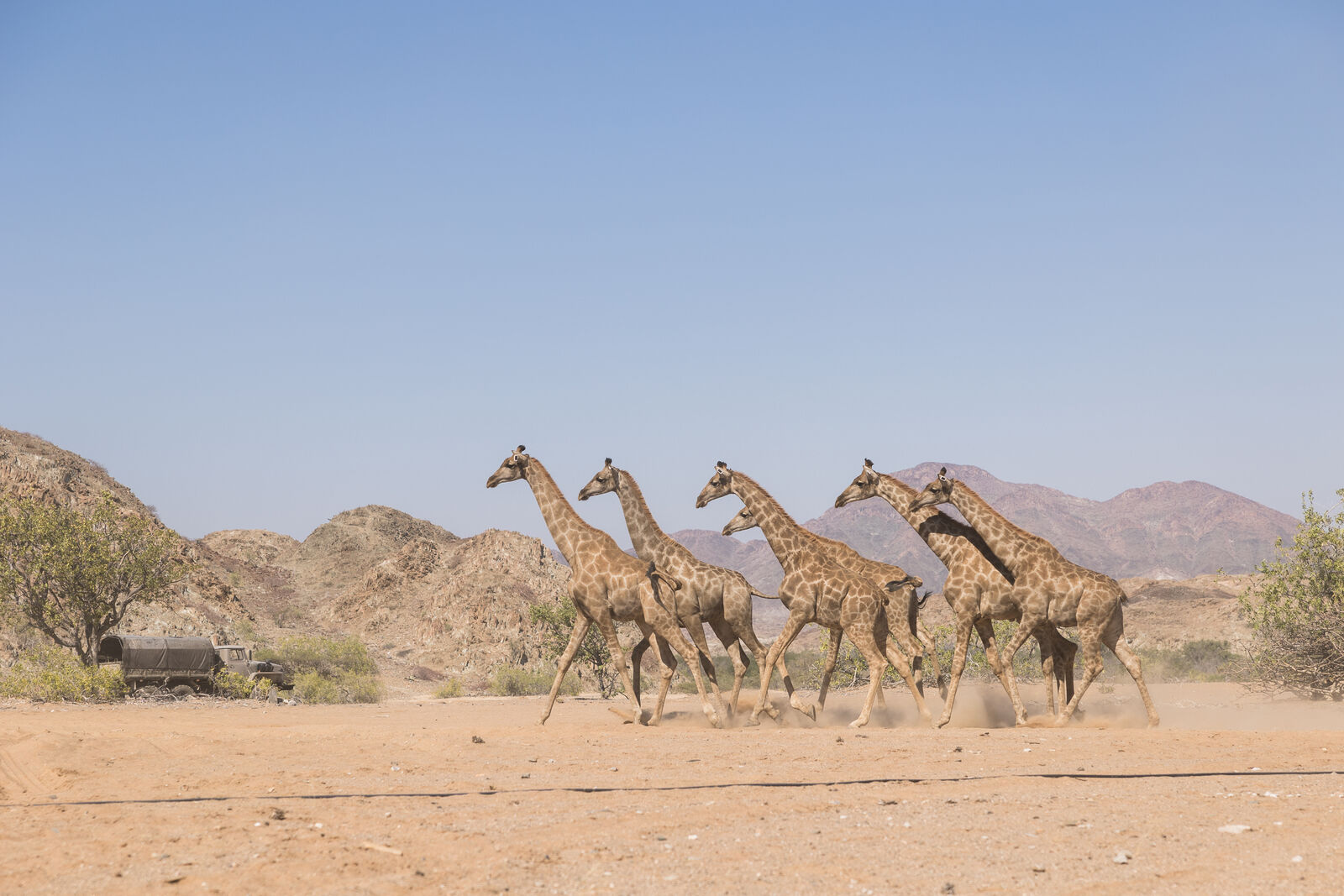 Iona National Park Takes a Step Forward in its Transformation | African ...