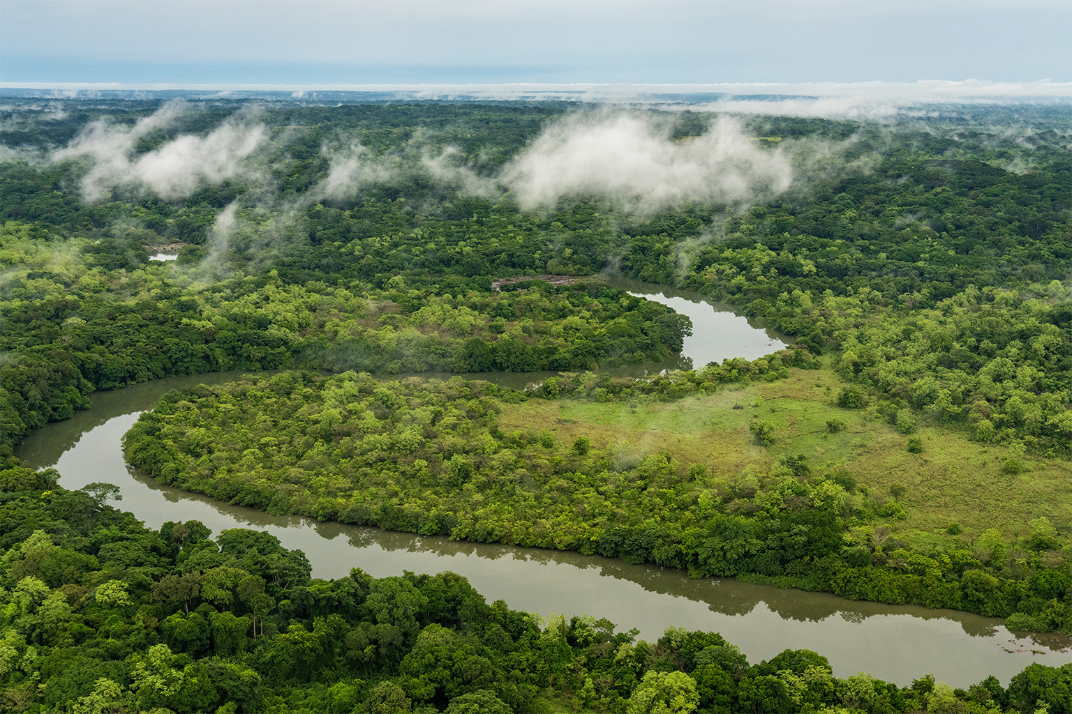 Revolutionising Conservation: An Innovative Approach to Ecosystem ...